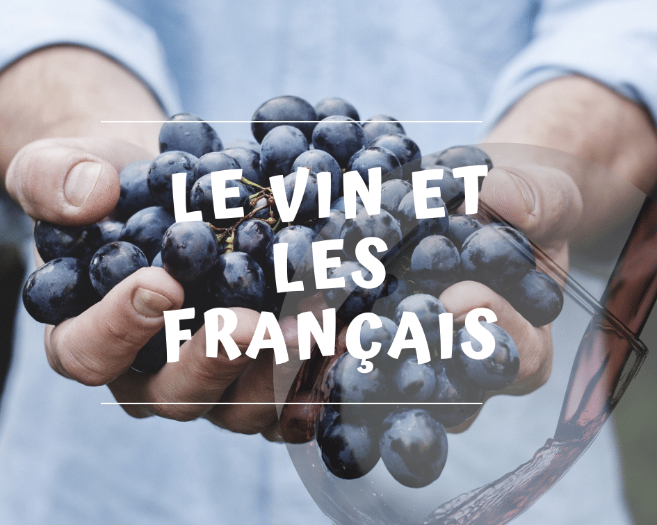 Tendance Foire au vin - Lapin et Papilles