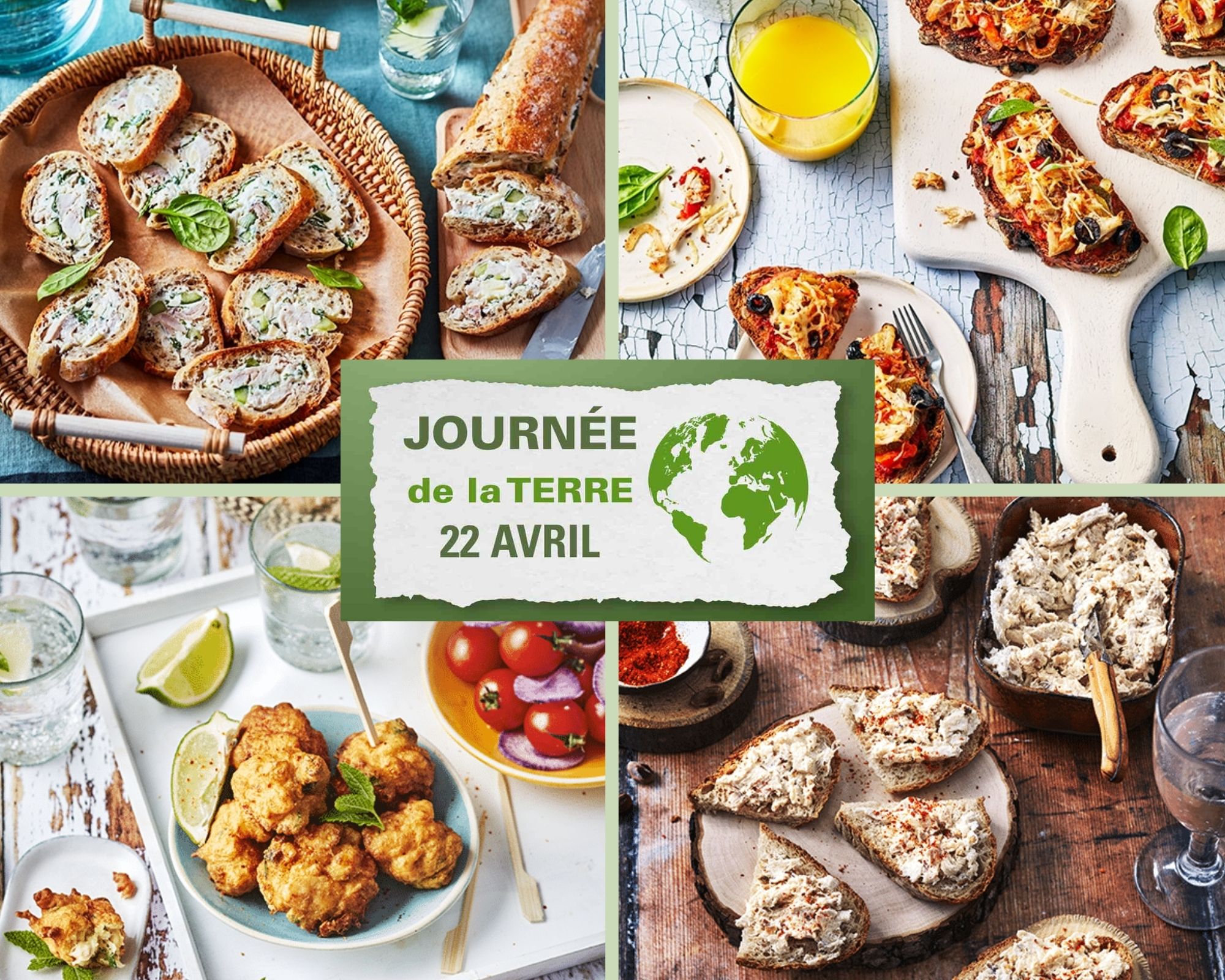 Journée Mondiale de la Terre - Lapin et Papilles